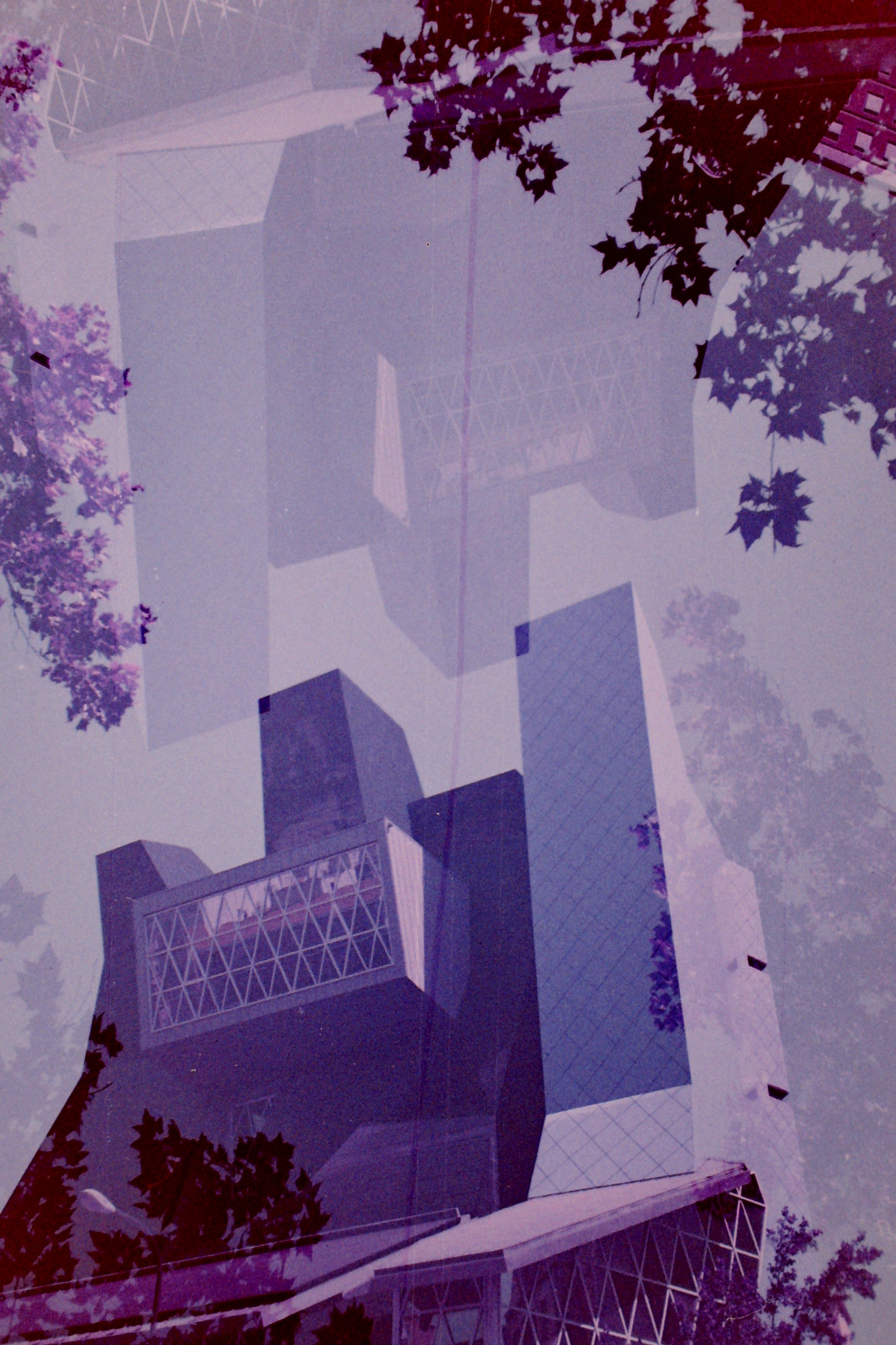 Raquel Quirós Photo